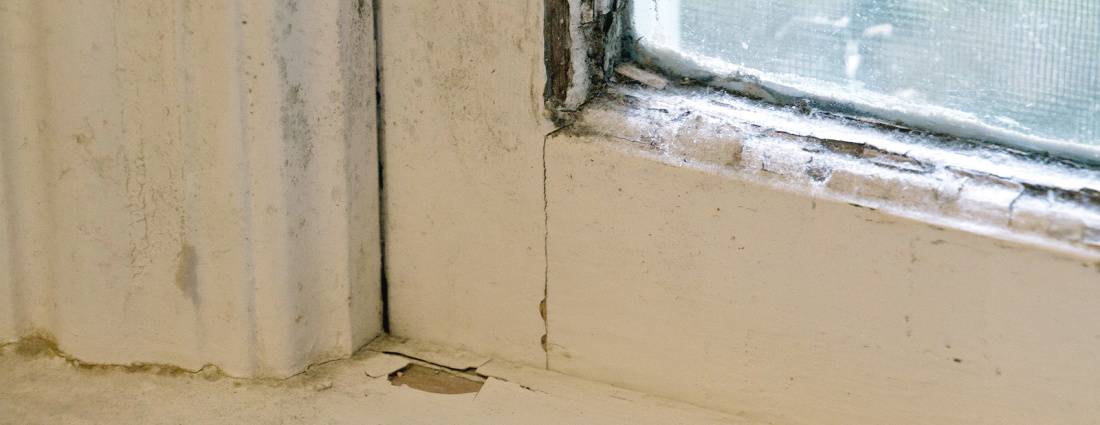 4 Signs You Need Lead Paint Removal | Disaster Kleenup Specialists