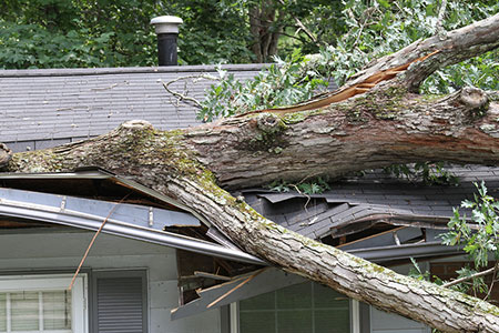 Disaster Tips & Resources | Disaster Kleenup Specialists